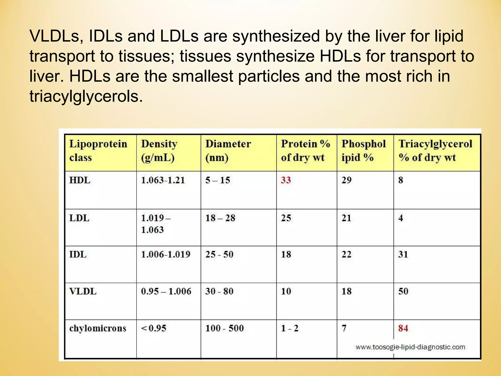Lipid breakdown and biosynthesis | PPT