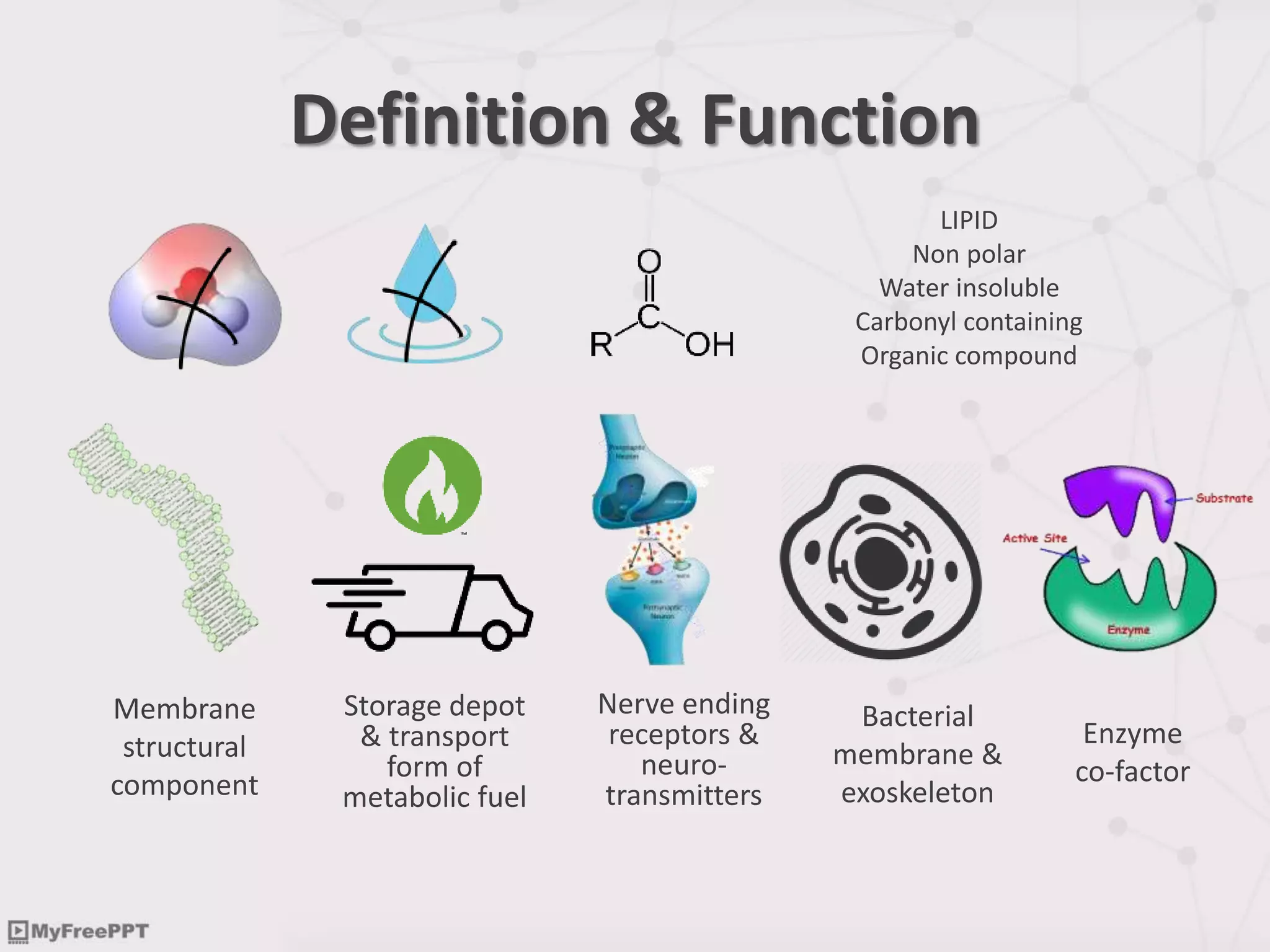 Lipid Catabolism | PPTX