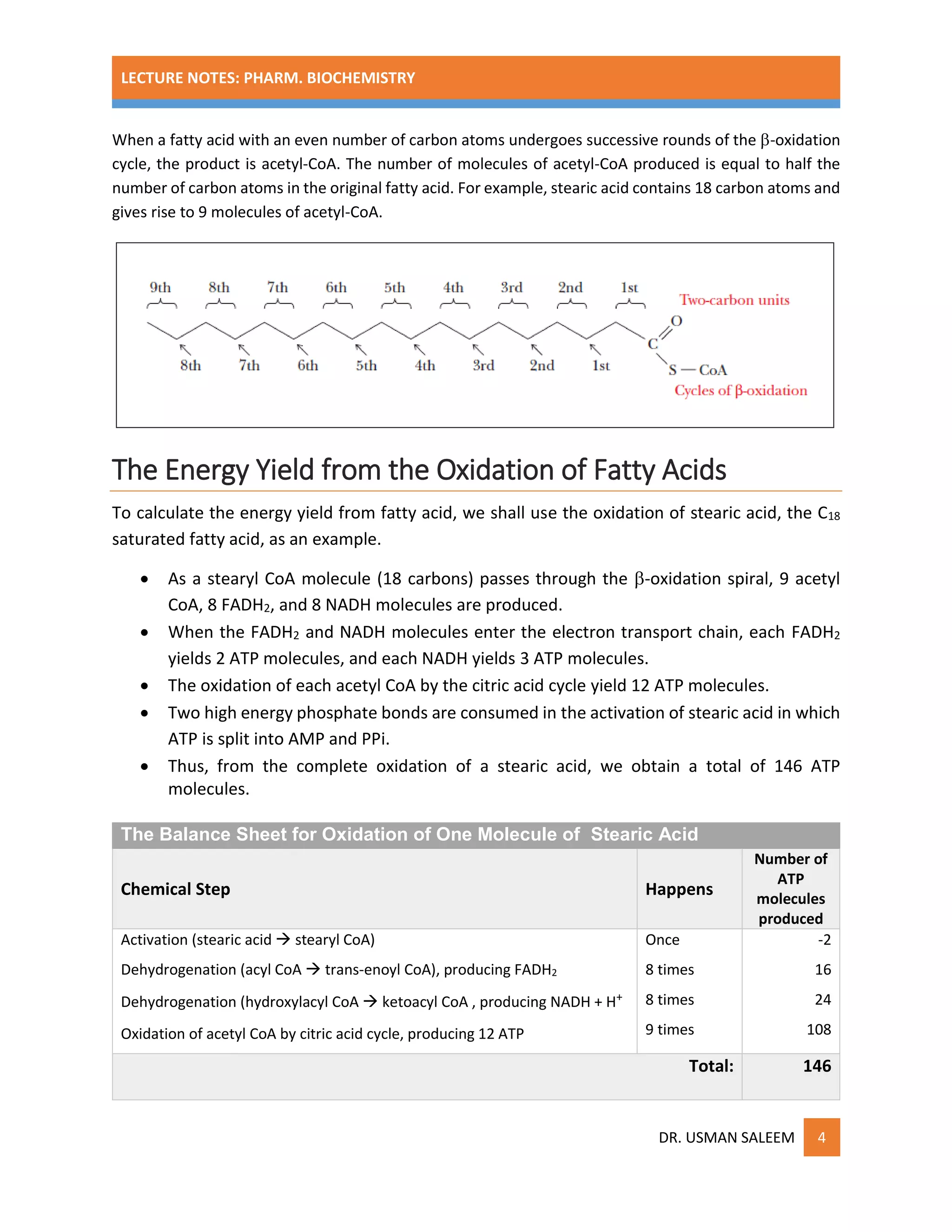 Lipid catabolism (fatty acid oxidation) | PDF