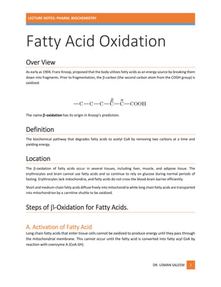 Lipid catabolism (fatty acid oxidation) | PDF