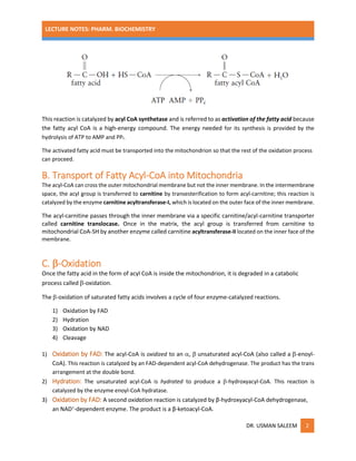 Lipid catabolism (fatty acid oxidation) | PDF