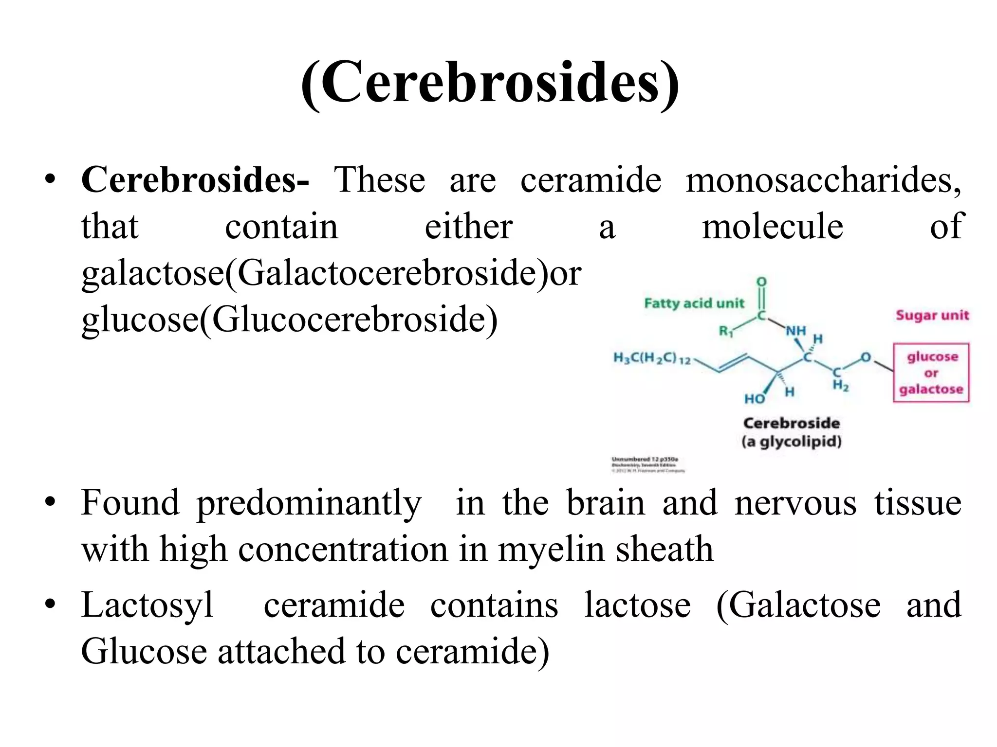 Lipid chemistry | PPTX