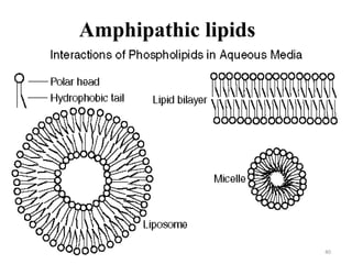 Lipid chemistry | PPTX