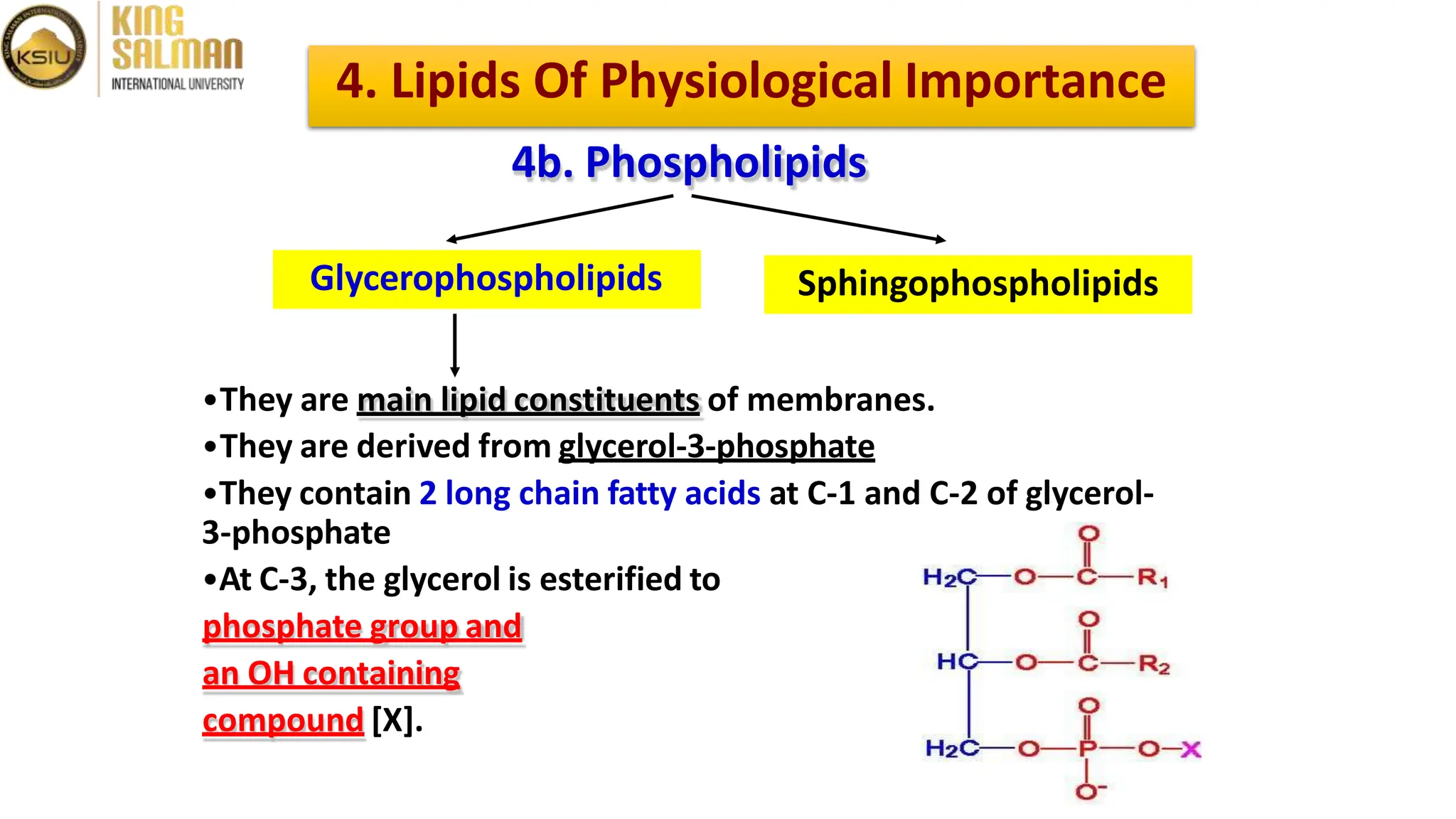 Lipid chemistry.pdf lipid for example shows how to make us | PDF ...