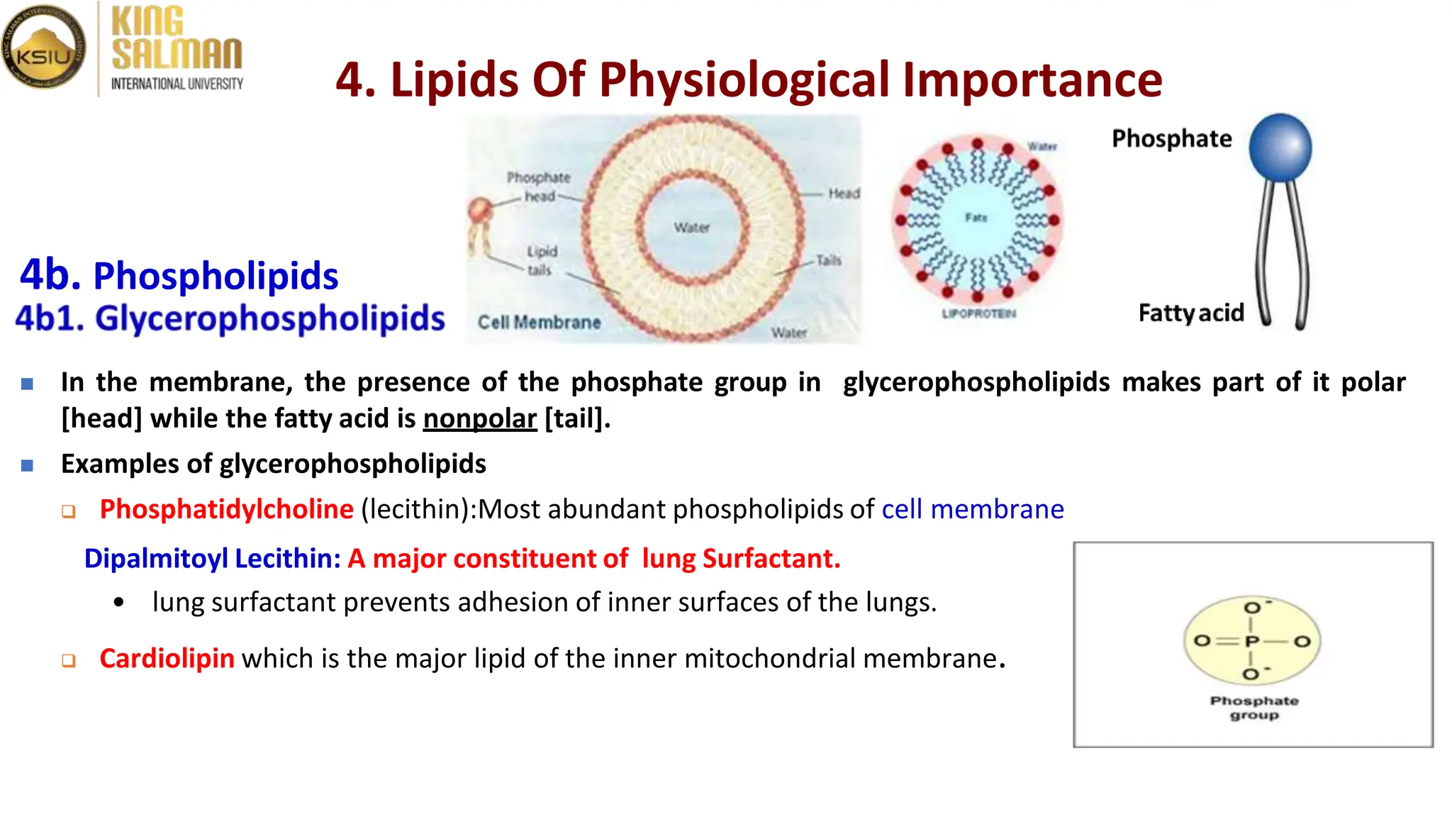 Lipid chemistry.pdf lipid for example shows how to make us | PDF ...