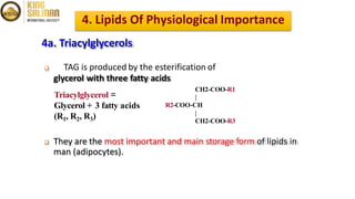 Lipid chemistry.pdf lipid for example shows how to make us | PDF ...
