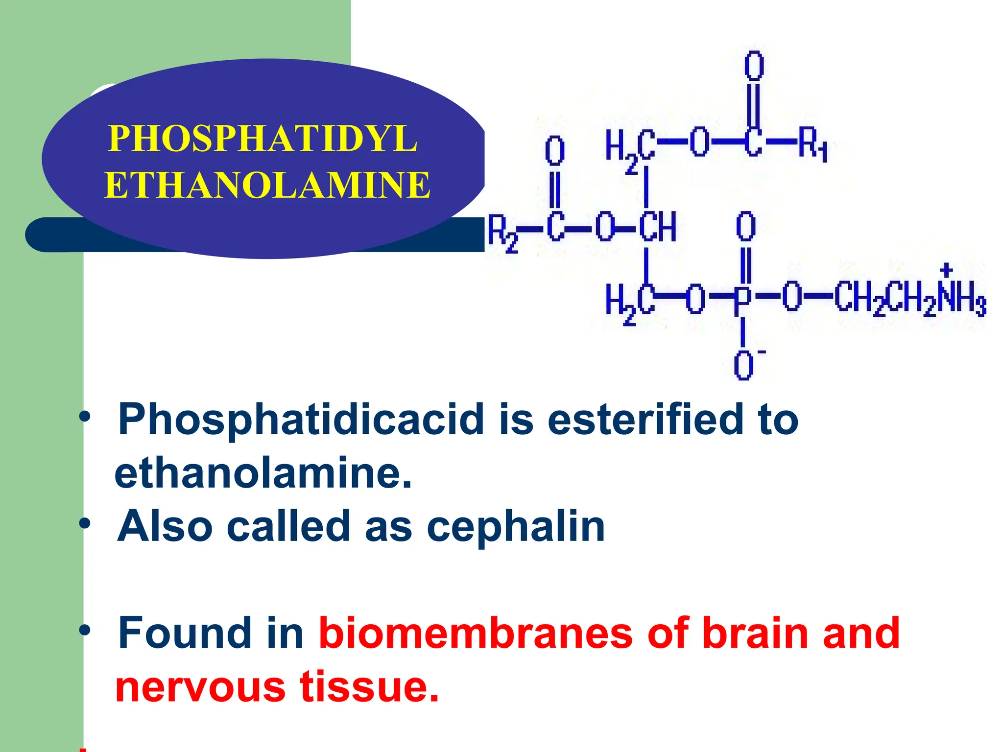 Lipid Chemistry with classification of lipids.ppt