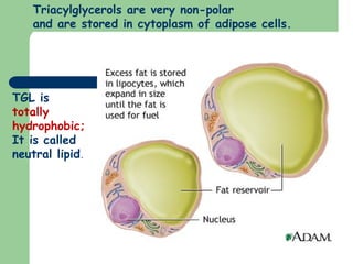 Lipid Chemistry with classification of lipids.ppt