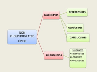 Lipid Chemistry by Dr Anurag Yadav | PDF