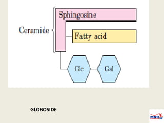 Lipid Chemistry by Dr Anurag Yadav | PDF