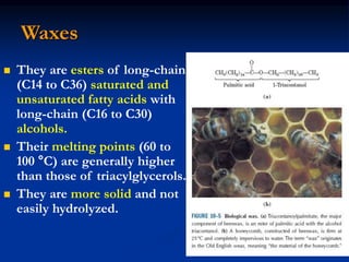 Lipid Chemistry(Dr[1]. Ibrahim Hassan).ppt