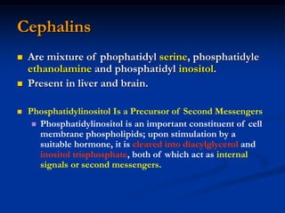 Lipid Chemistry(Dr[1]. Ibrahim Hassan).ppt