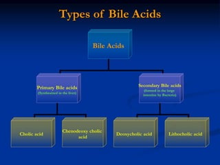 Lipid Chemistry(Dr[1]. Ibrahim Hassan).ppt
