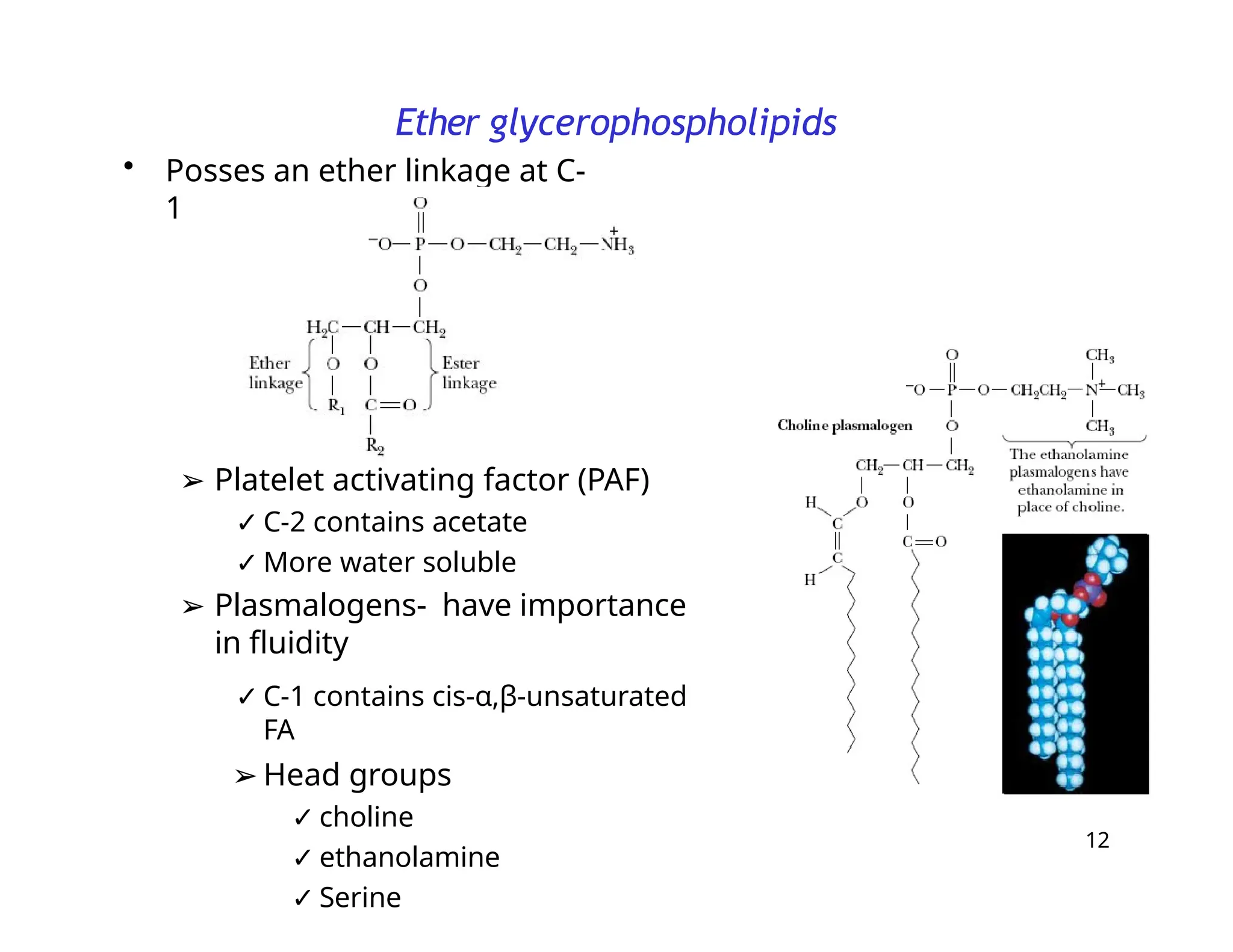 lipid chemistry power point and some .pptx