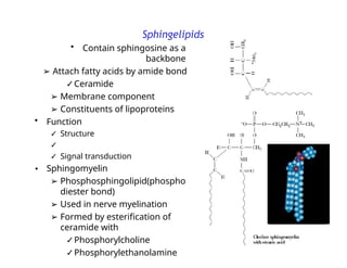 lipid chemistry power point and some .pptx