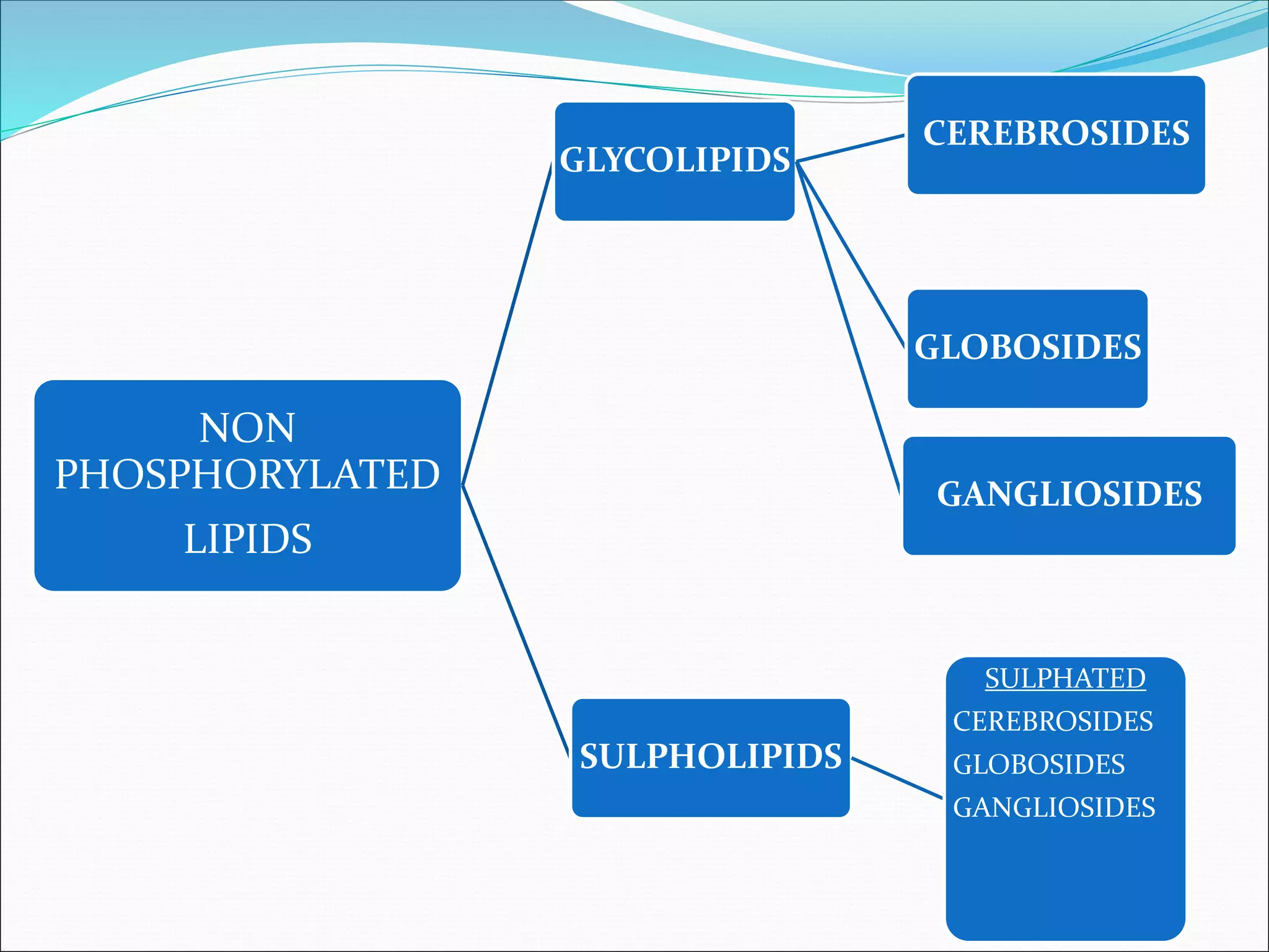 Lipid chemistry V2 By Dr Anurag Yadav | PDF