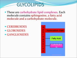 Lipid chemistry V2 By Dr Anurag Yadav | PDF