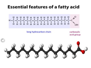 Lipid Classification and Structure function | PDF