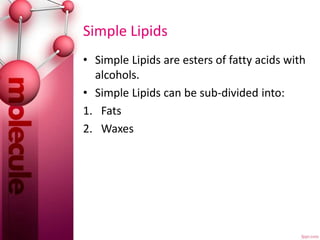 Lipid Classification and Structure function | PDF