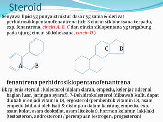 Lipid dan lemak, penggolongan dan contohnya | PPT