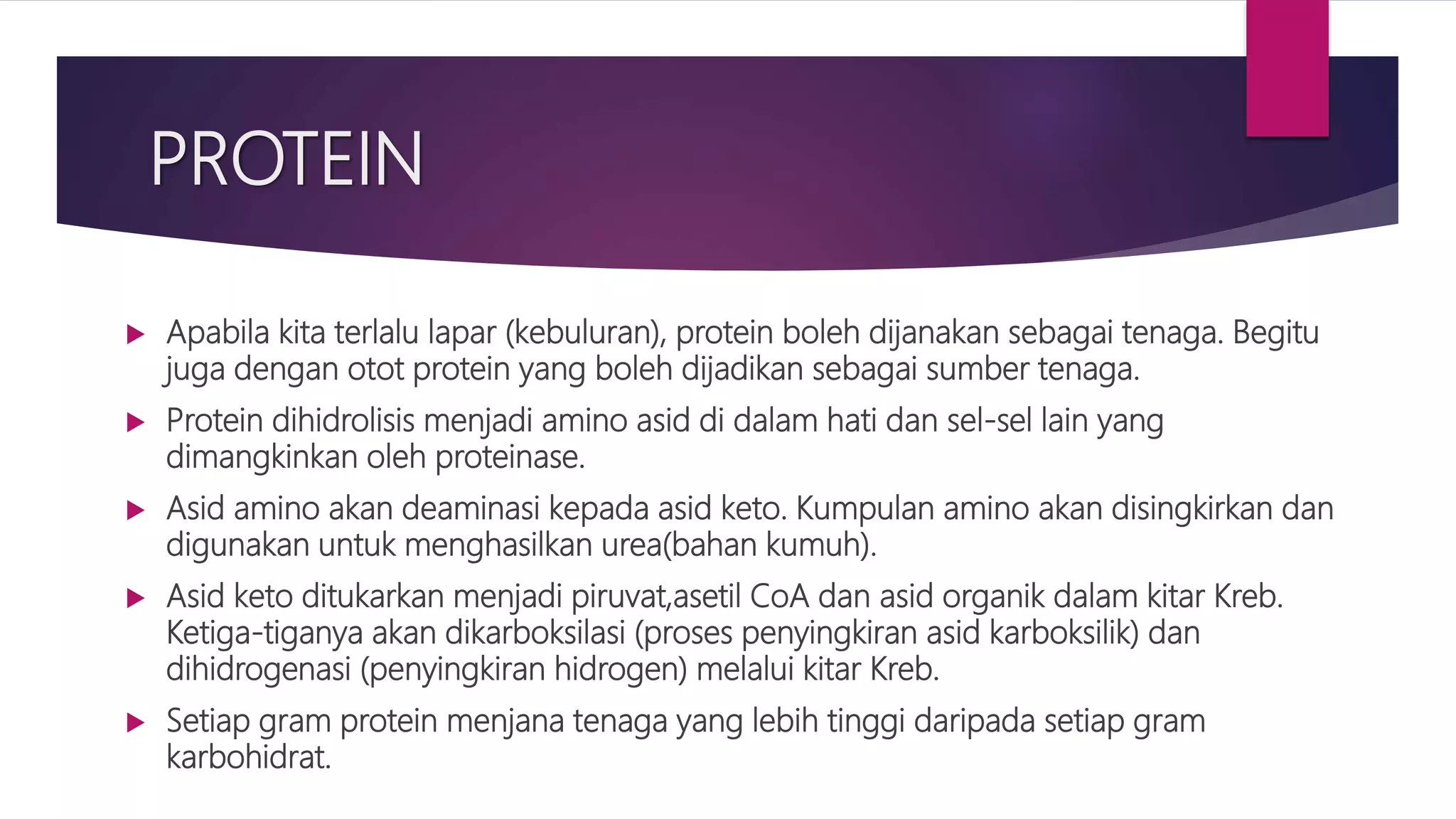 Lipid dan Protein sebagai Sumber Tenaga Alternatf | PPTX