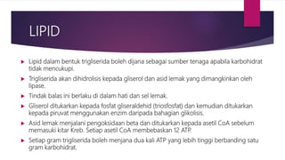 Lipid dan Protein sebagai Sumber Tenaga Alternatf | PPTX