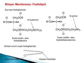 LIPID DAN TURUNANNYA.ppt