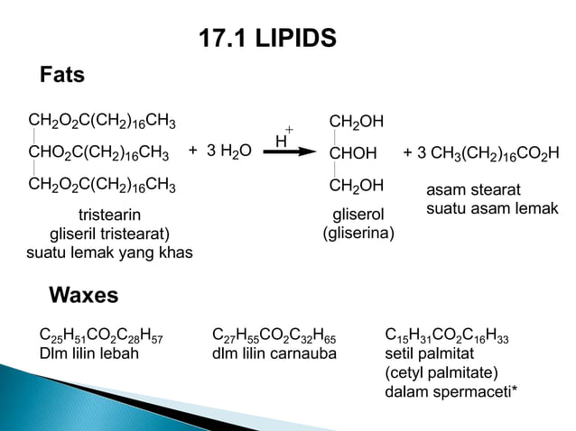 LIPID DAN TURUNANNYA.ppt