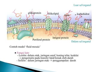 LIPID DAN TURUNANNYA.ppt