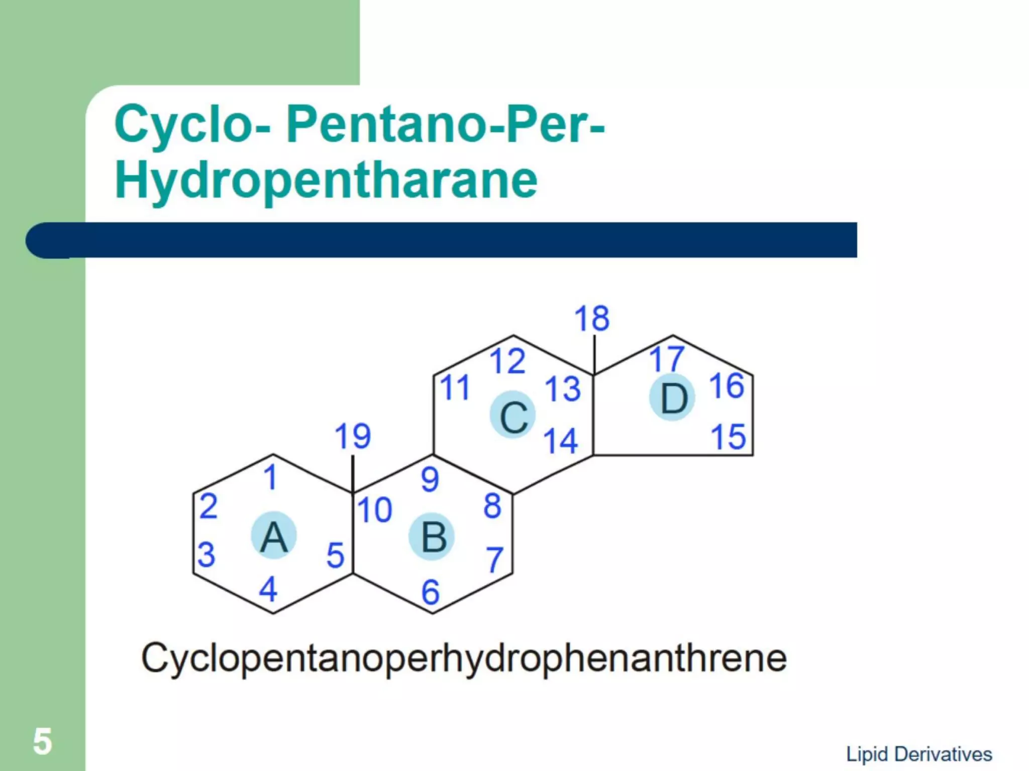 Lipid derivatives (Biochemistry) | PDF