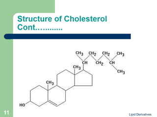 Lipid derivatives (Biochemistry) | PDF
