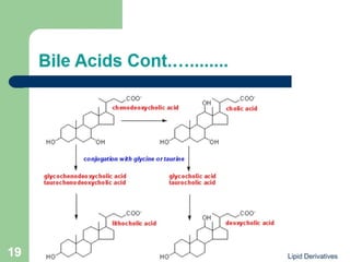 Lipid derivatives (Biochemistry) | PDF