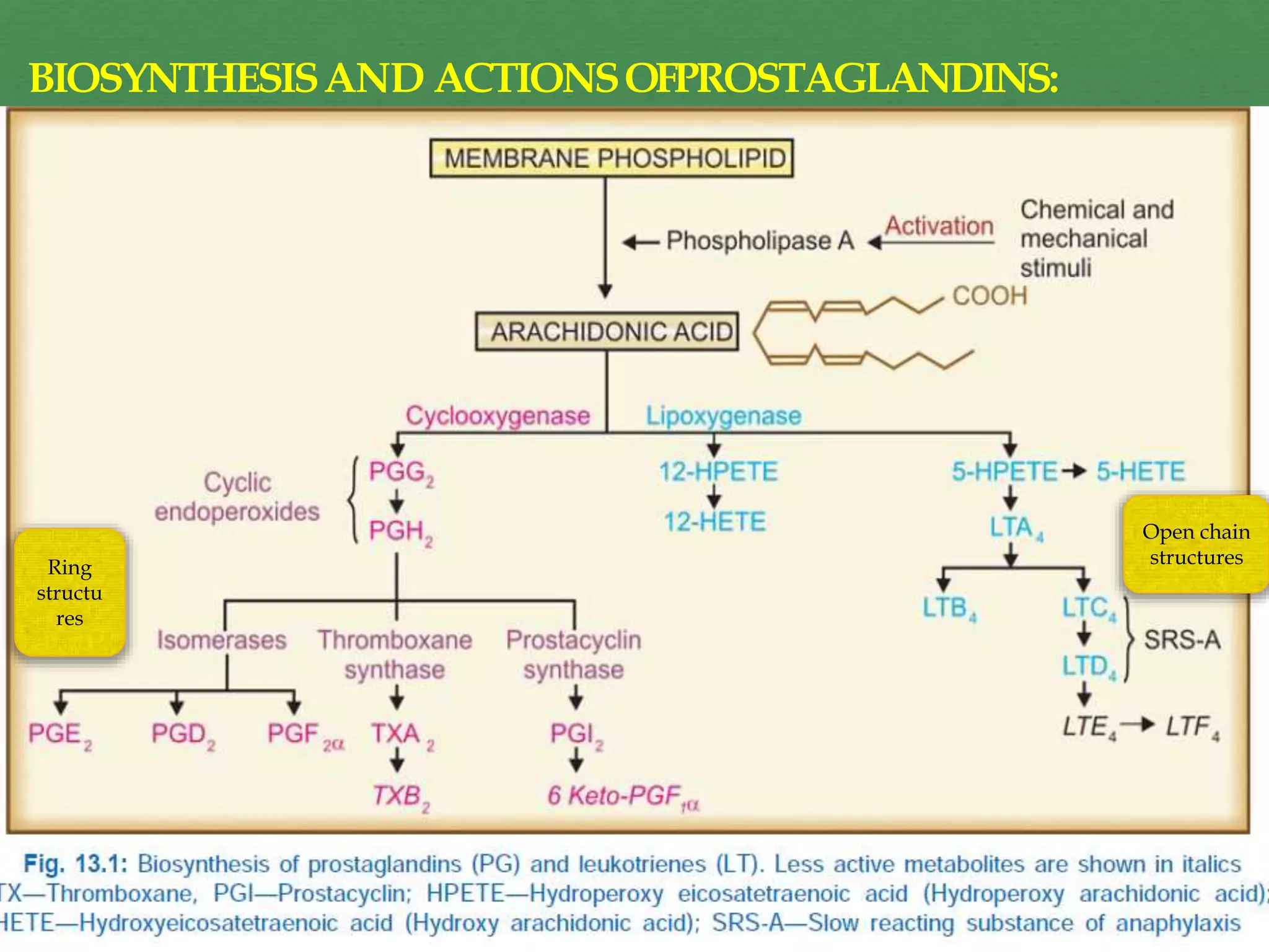 LIPID DERIVED AUTACOIDS.pptx