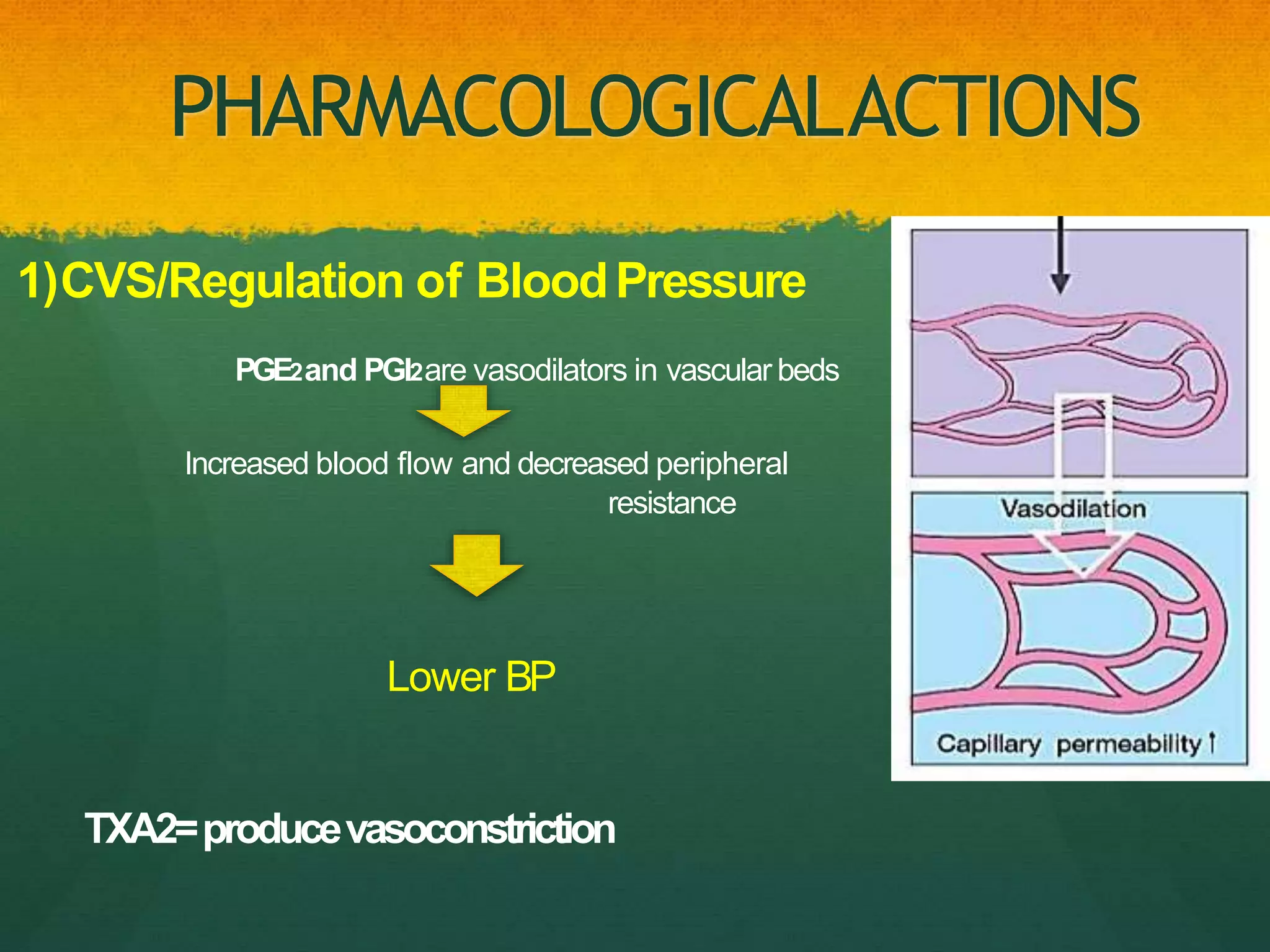 LIPID DERIVED AUTACOIDS.pptx