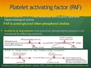 LIPID DERIVED AUTACOIDS.pptx