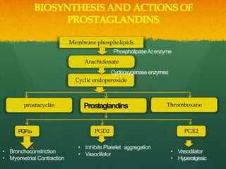 LIPID DERIVED AUTACOIDS.pptx