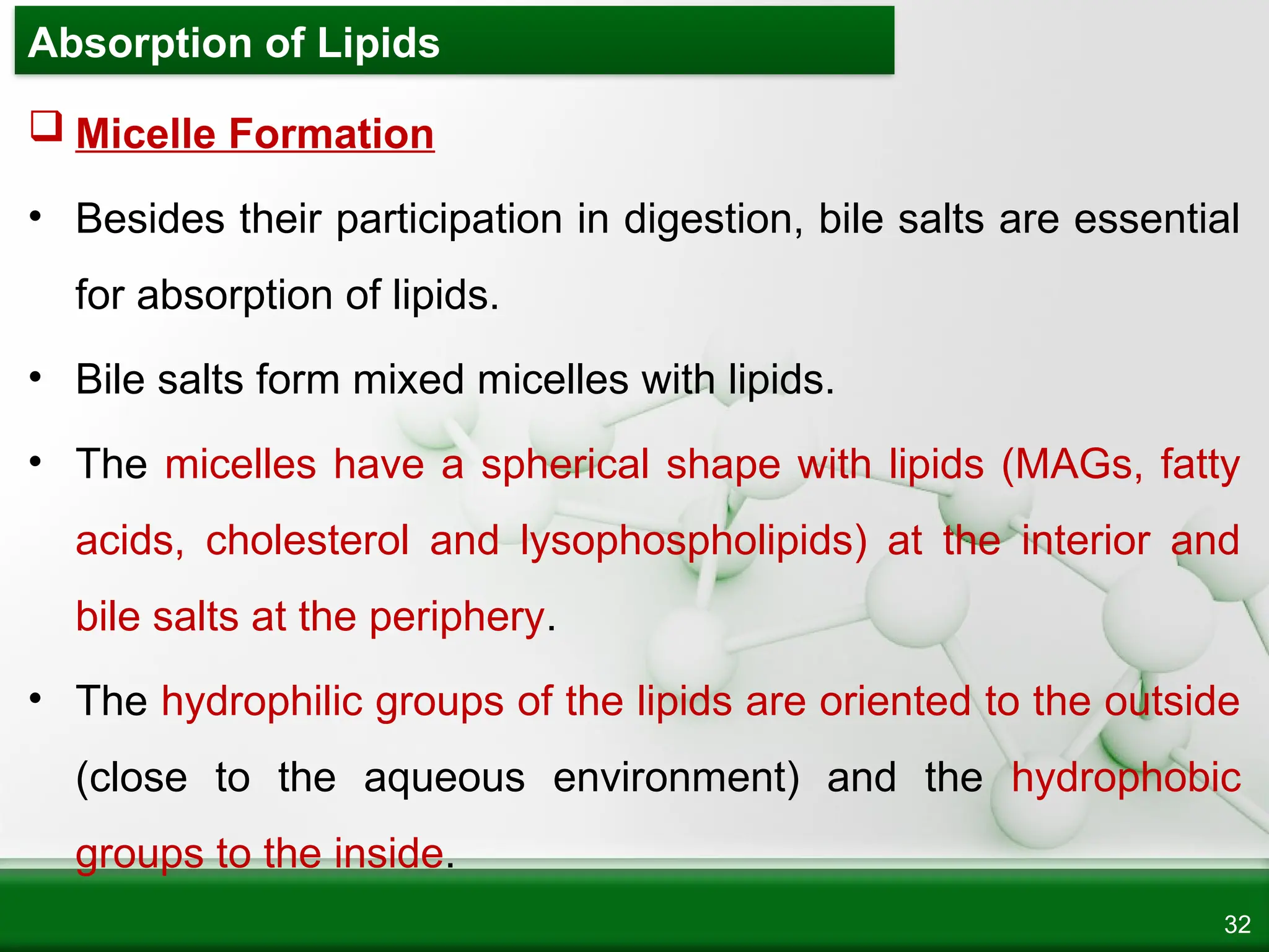 Absorption of Proteins, Digestion and Absorption of Lipids | PPTX