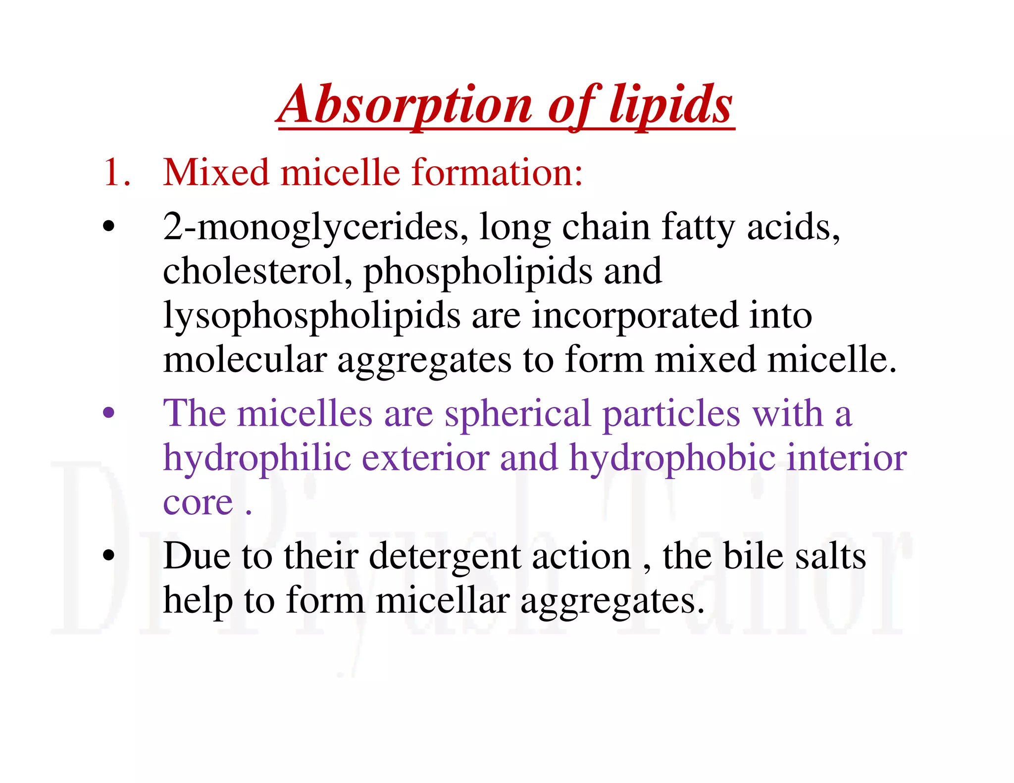 lipid_digestion_absorption.pdf | Digestive Disorders | Diseases and ...