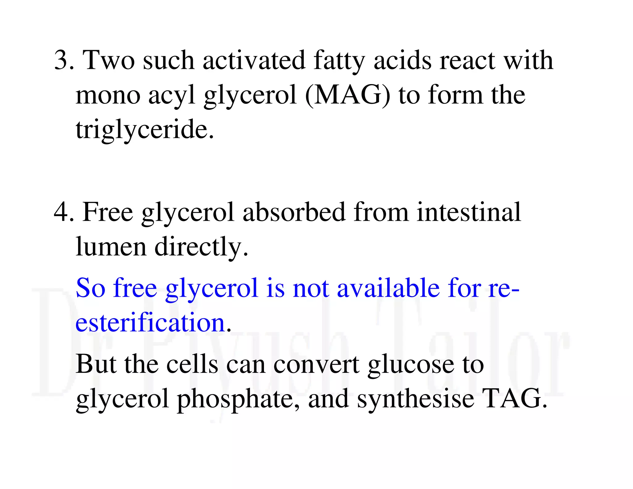 lipid_digestion_absorption.pdf | Digestive Disorders | Diseases and ...