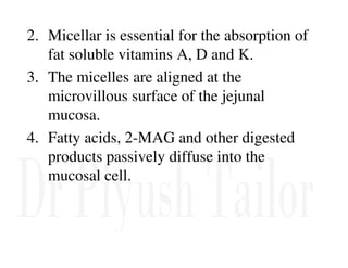 lipid_digestion_absorption.pdf