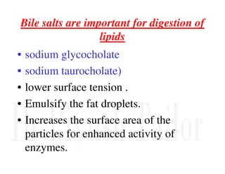 lipid_digestion_absorption.pdf | Digestive Disorders | Diseases and ...