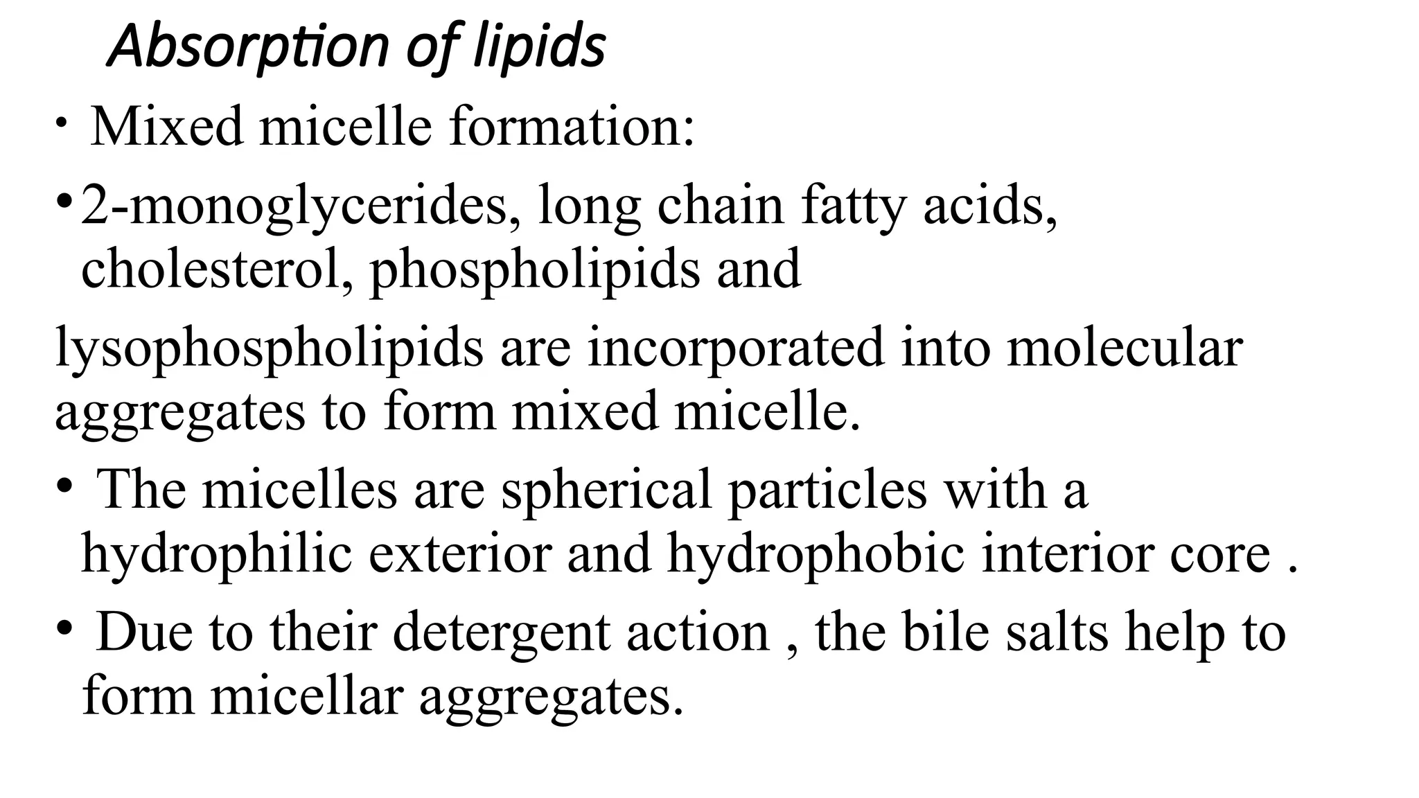 lipid_digestion_and absorption, ppt.pptx