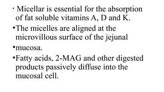 lipid_digestion_and absorption, ppt.pptx