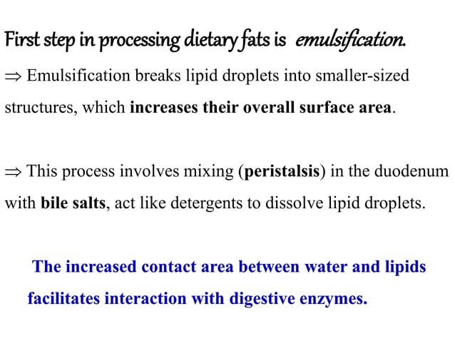 lipid digestion MD(1).pptx