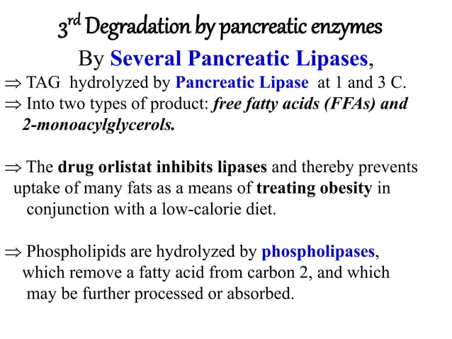 lipid digestion MD(1).pptx