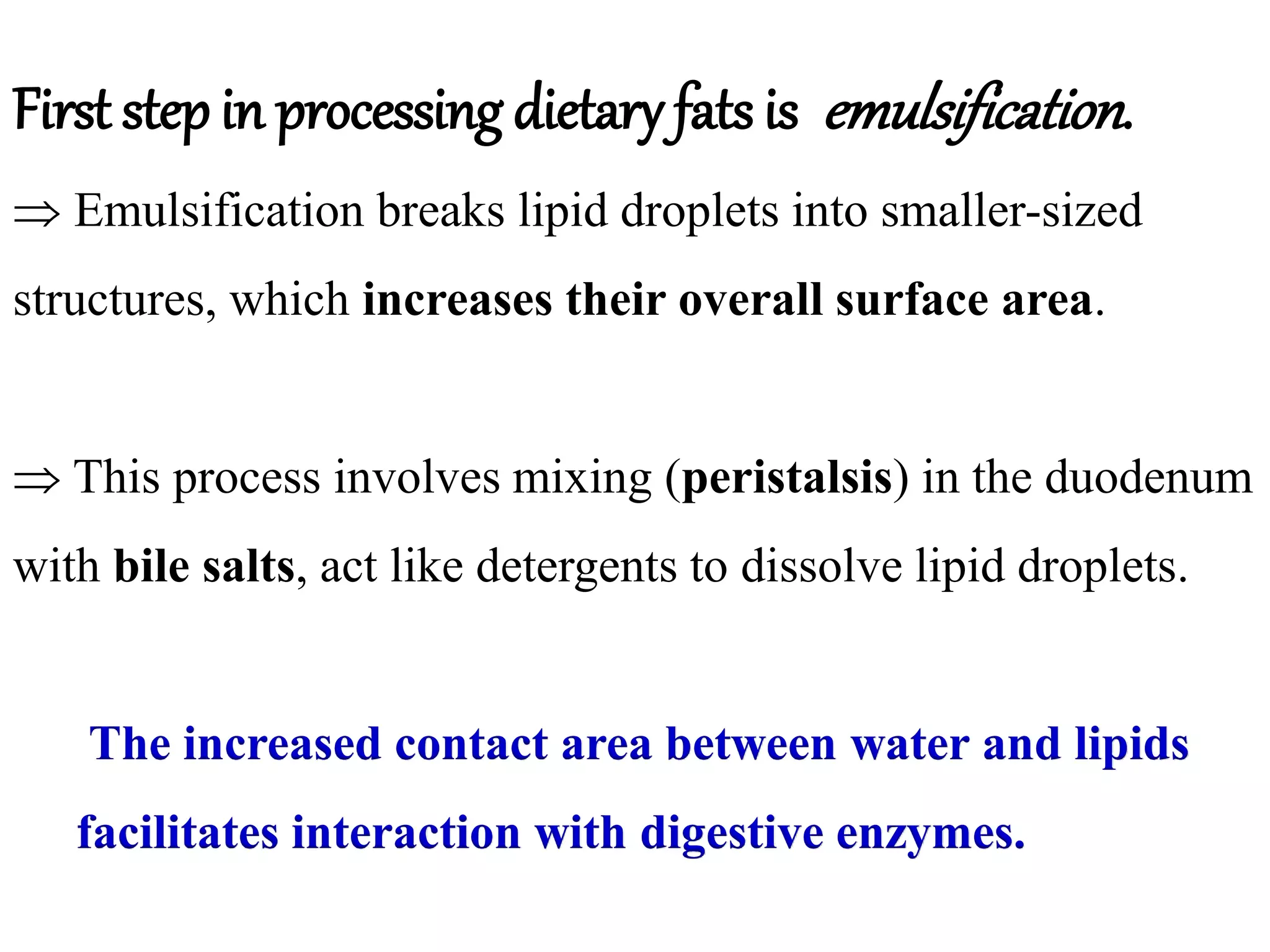 lipid digestion MD(1).pptx