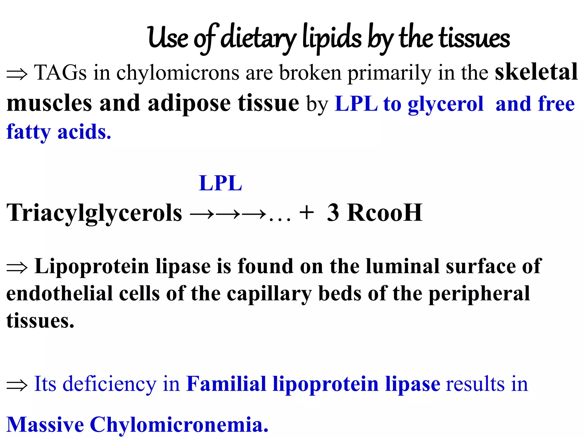 lipid digestion MD(1).pptx