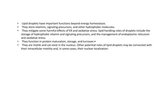 lipid droplet.pptx