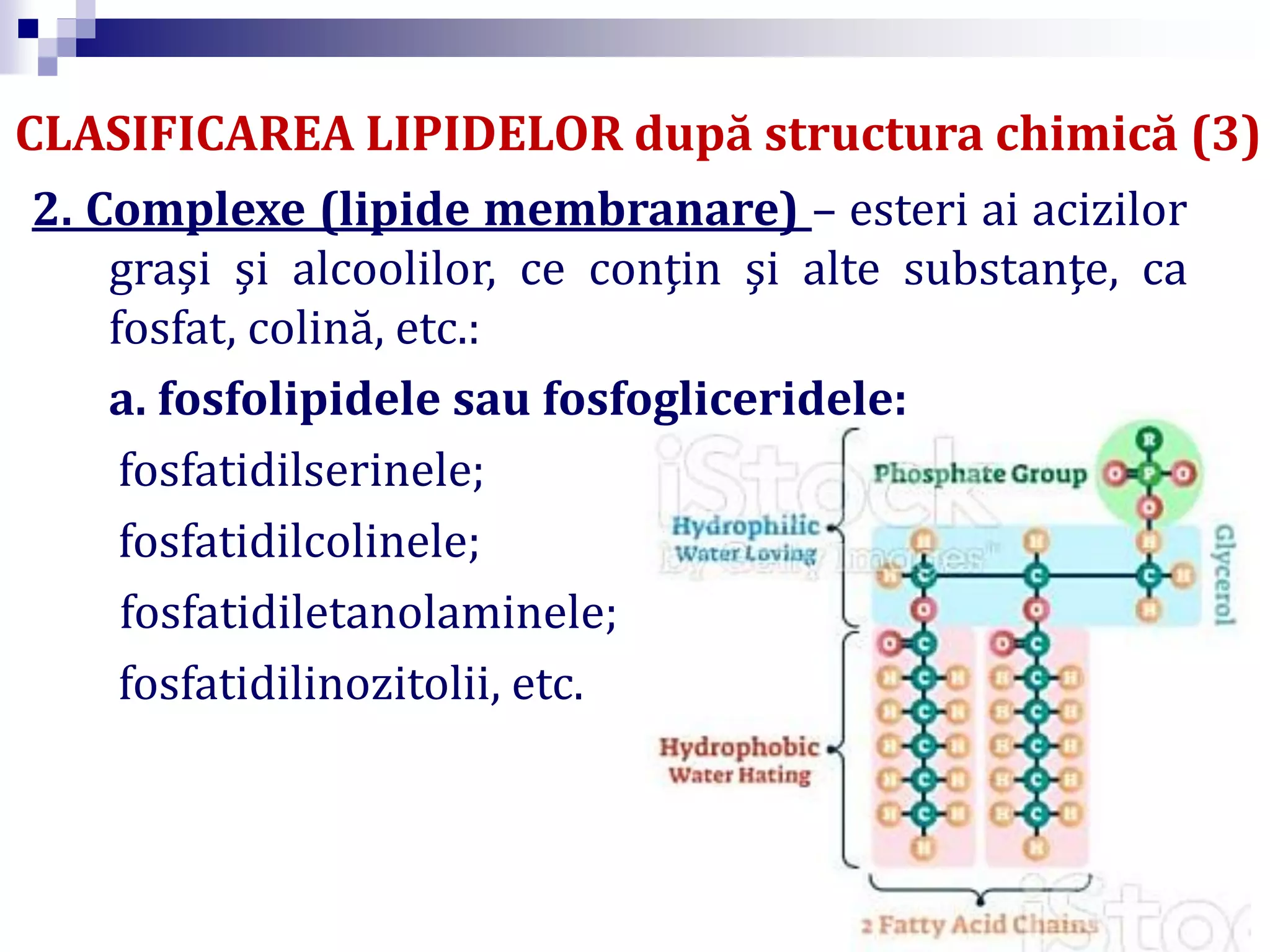lipide.pdf