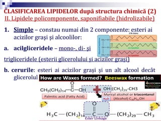 lipide.pdf